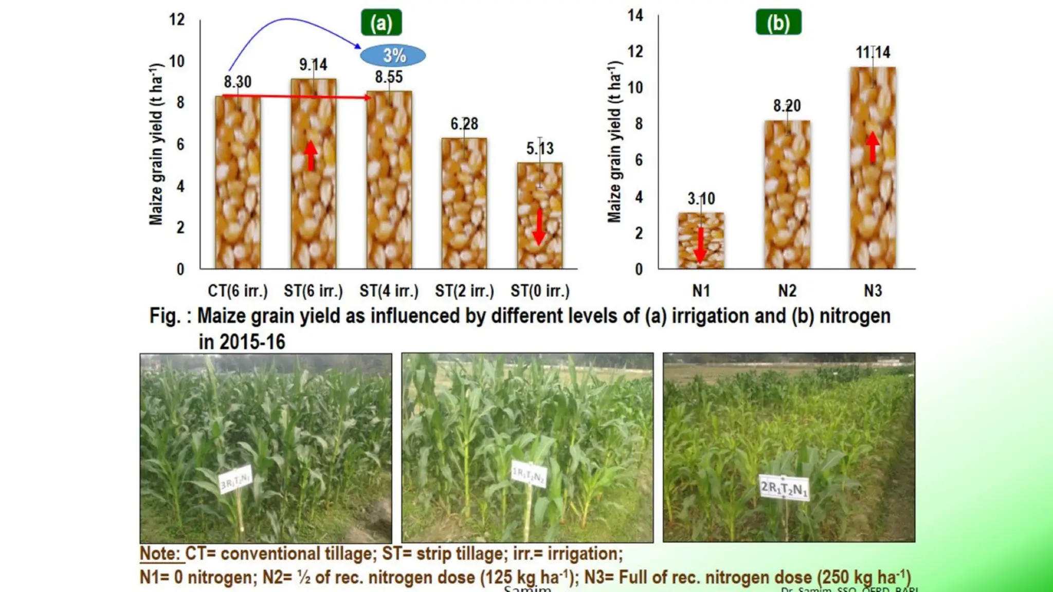 Strip Planting - Climate Smart Agriculture | PPT