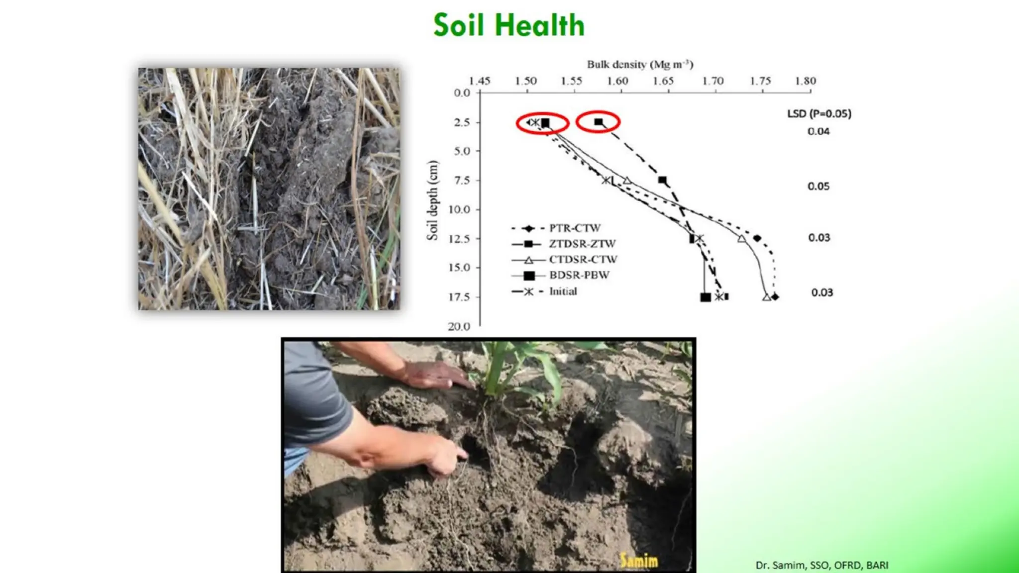 Strip Planting - Climate Smart Agriculture | PPT