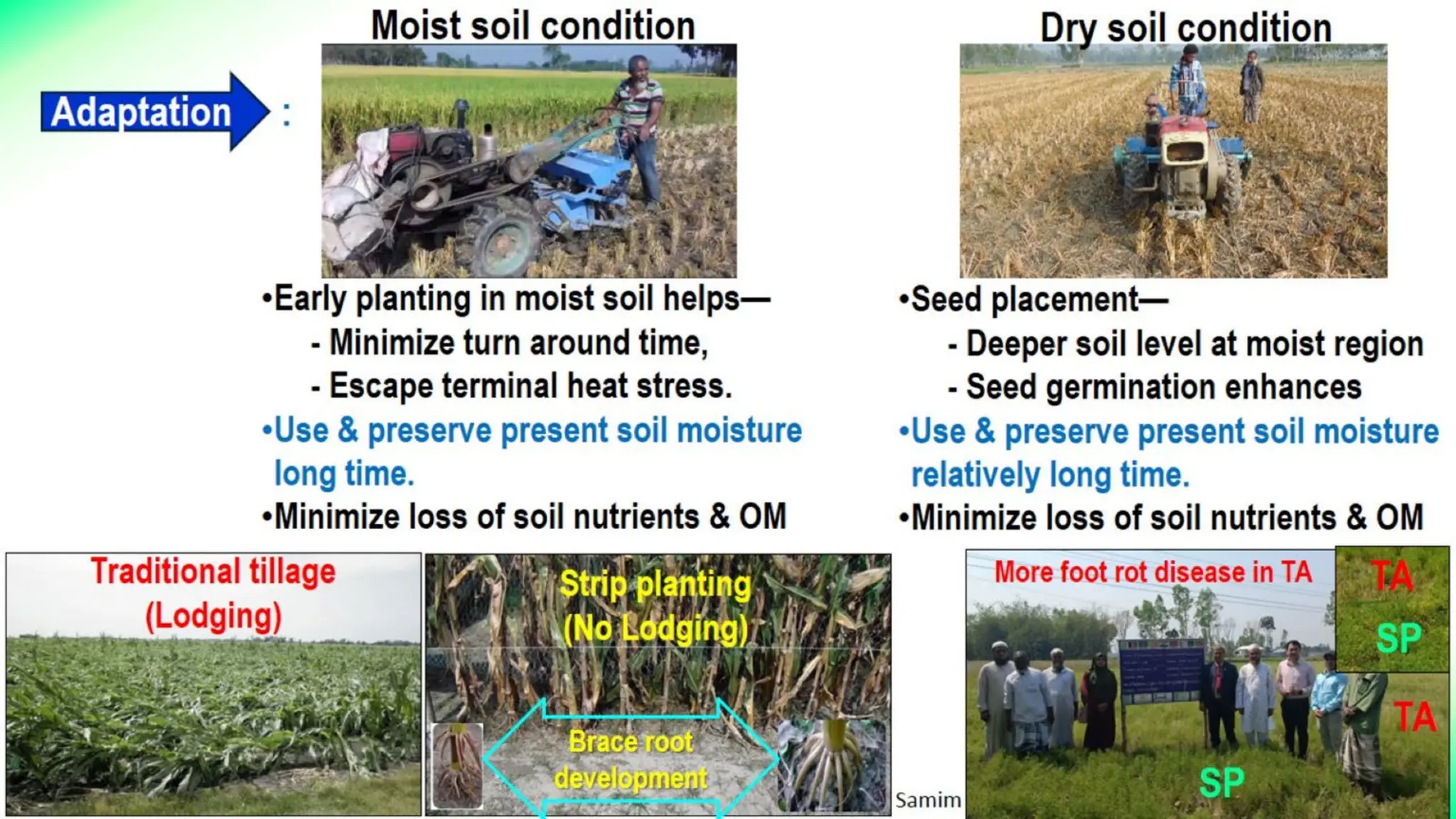 Strip Planting - Climate Smart Agriculture | PPT
