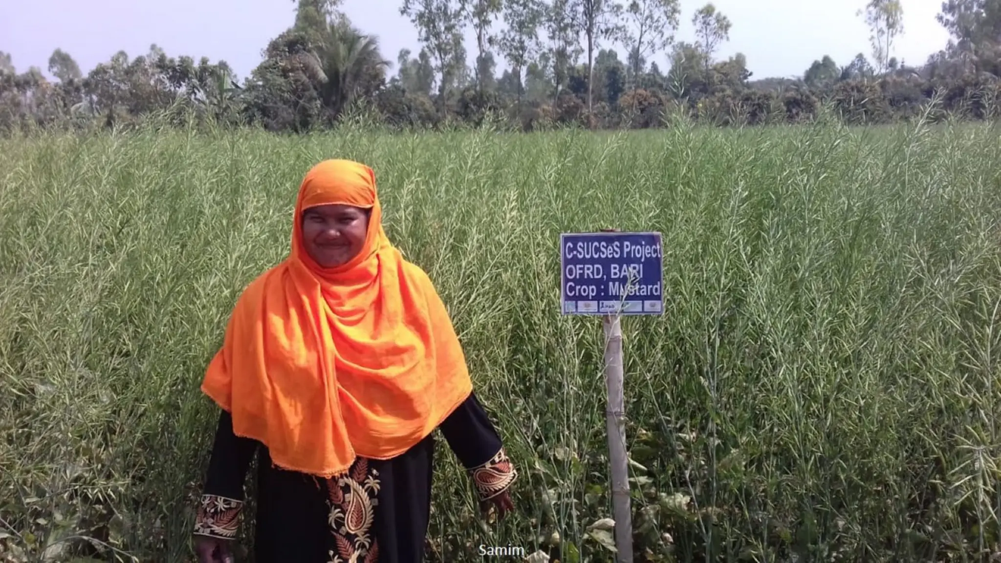 Strip Planting - Climate Smart Agriculture | PPT