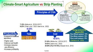 Strip Planting - Climate Smart Agriculture | PPT