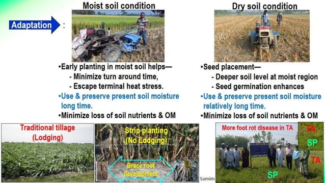 Strip Planting - Climate Smart Agriculture | PPT