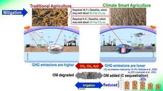 Strip Planting - Climate Smart Agriculture | PPT