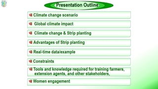 Strip Planting - Climate Smart Agriculture | PDF