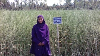 Strip Planting - Climate Smart Agriculture | PPT