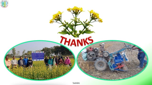 Strip Planting - Climate Smart Agriculture | PPT