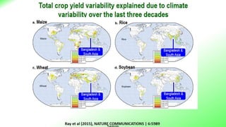 Strip Planting - Climate Smart Agriculture | PPT