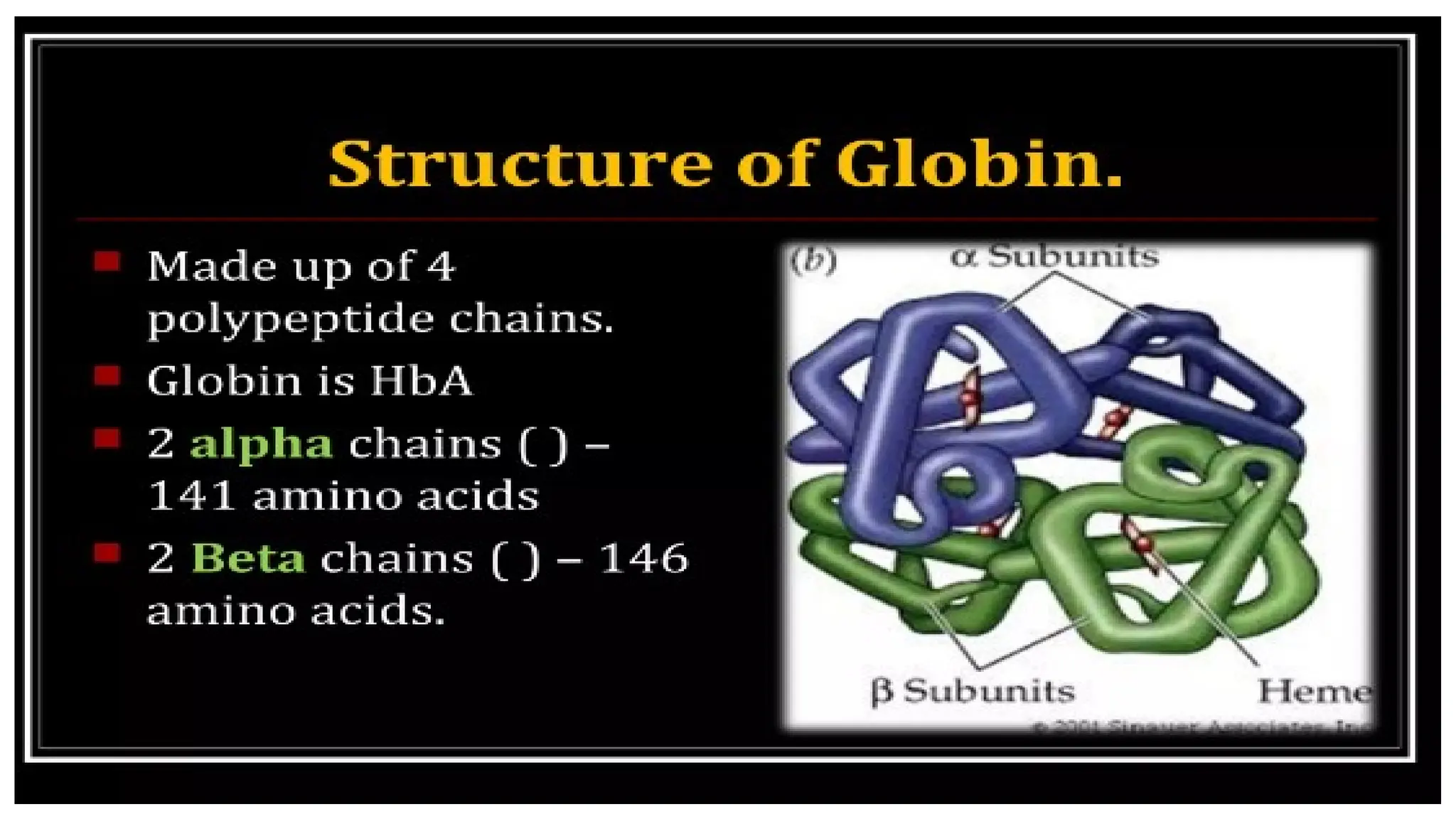 DPT - Physiology - II (Blood Physiology) Structure function, production ...