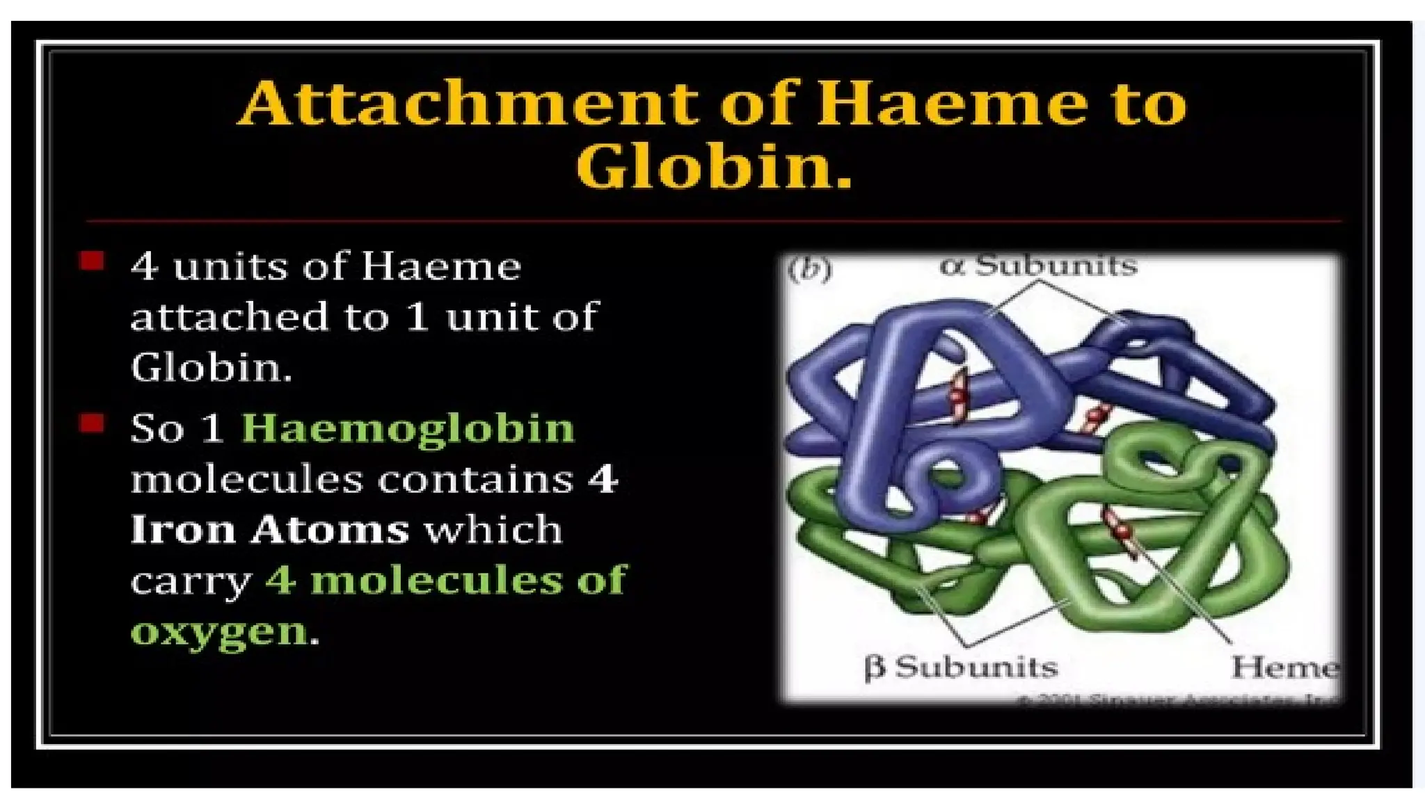 DPT - Physiology - II (Blood Physiology) Structure function, production ...