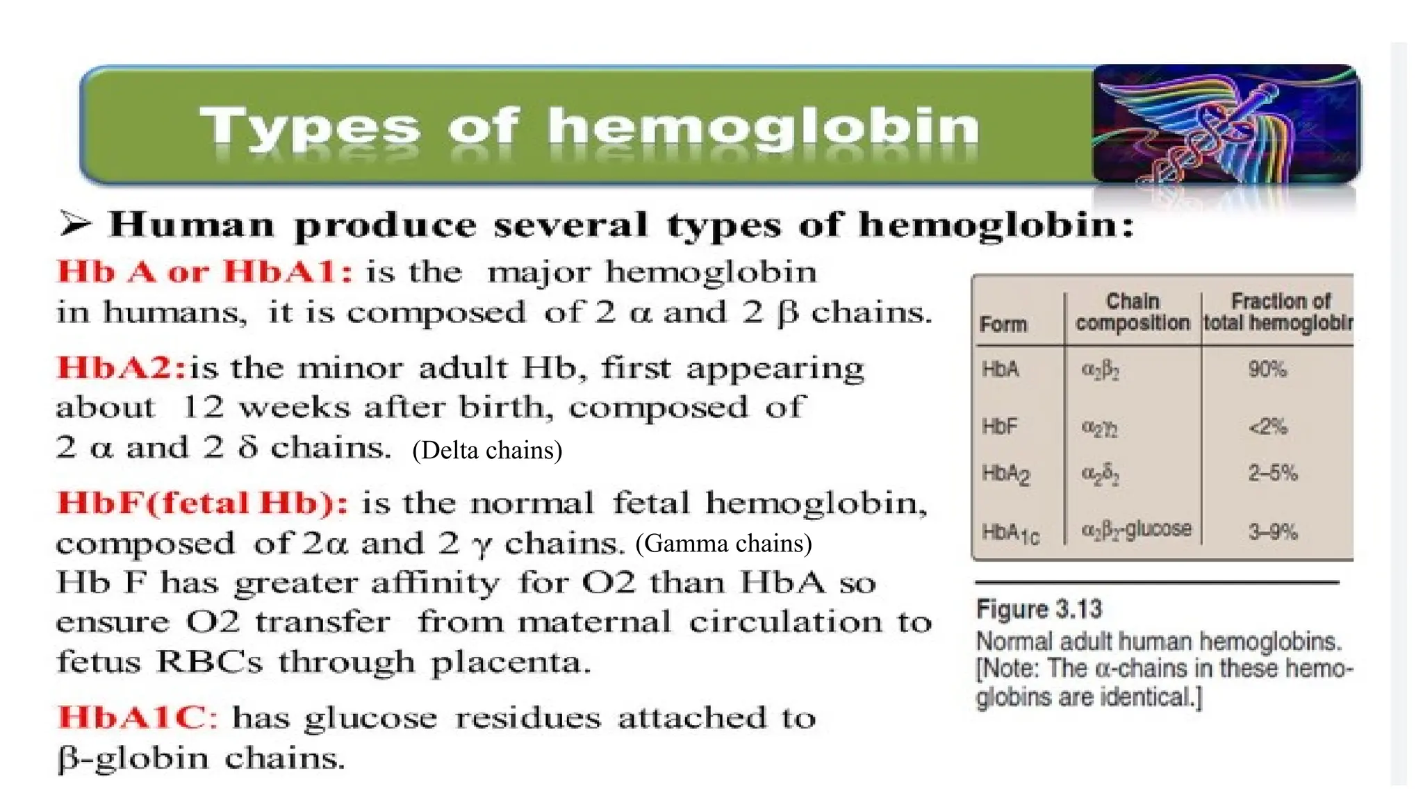 DPT - Physiology - II (Blood Physiology) Structure function, production ...