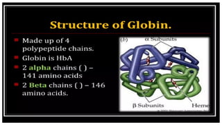DPT - Physiology - II (Blood Physiology) Structure function, production ...