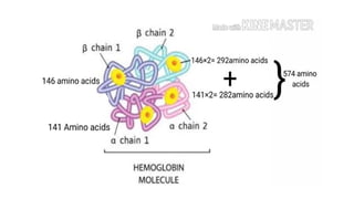DPT - Physiology - II (Blood Physiology) Structure function, production ...