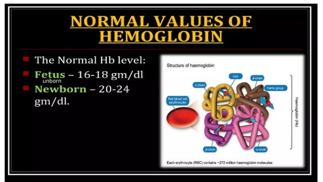 DPT - Physiology - II (Blood Physiology) Structure function, production ...