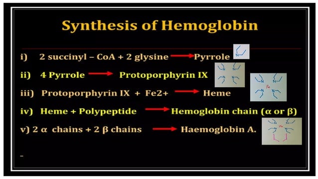 DPT - Physiology - II (Blood Physiology) Structure function, production ...
