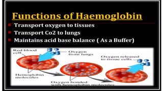 DPT - Physiology - II (Blood Physiology) Structure function, production ...