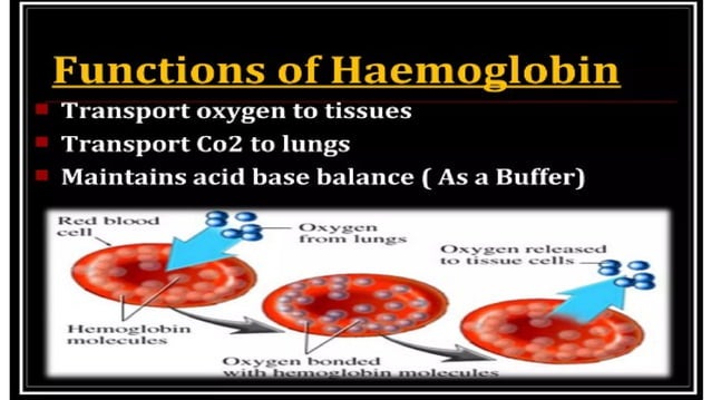 DPT - Physiology - II (Blood Physiology) Structure function, production ...