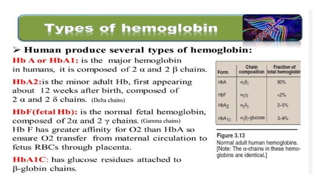 DPT - Physiology - II (Blood Physiology) Structure function, production ...