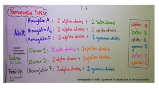 DPT - Physiology - II (Blood Physiology) Structure function, production ...
