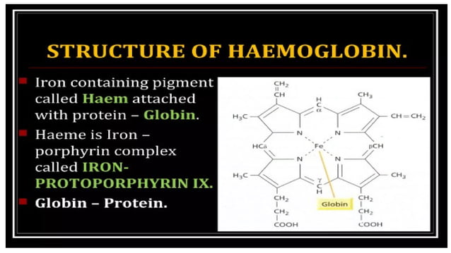 DPT - Physiology - II (Blood Physiology) Structure function, production ...