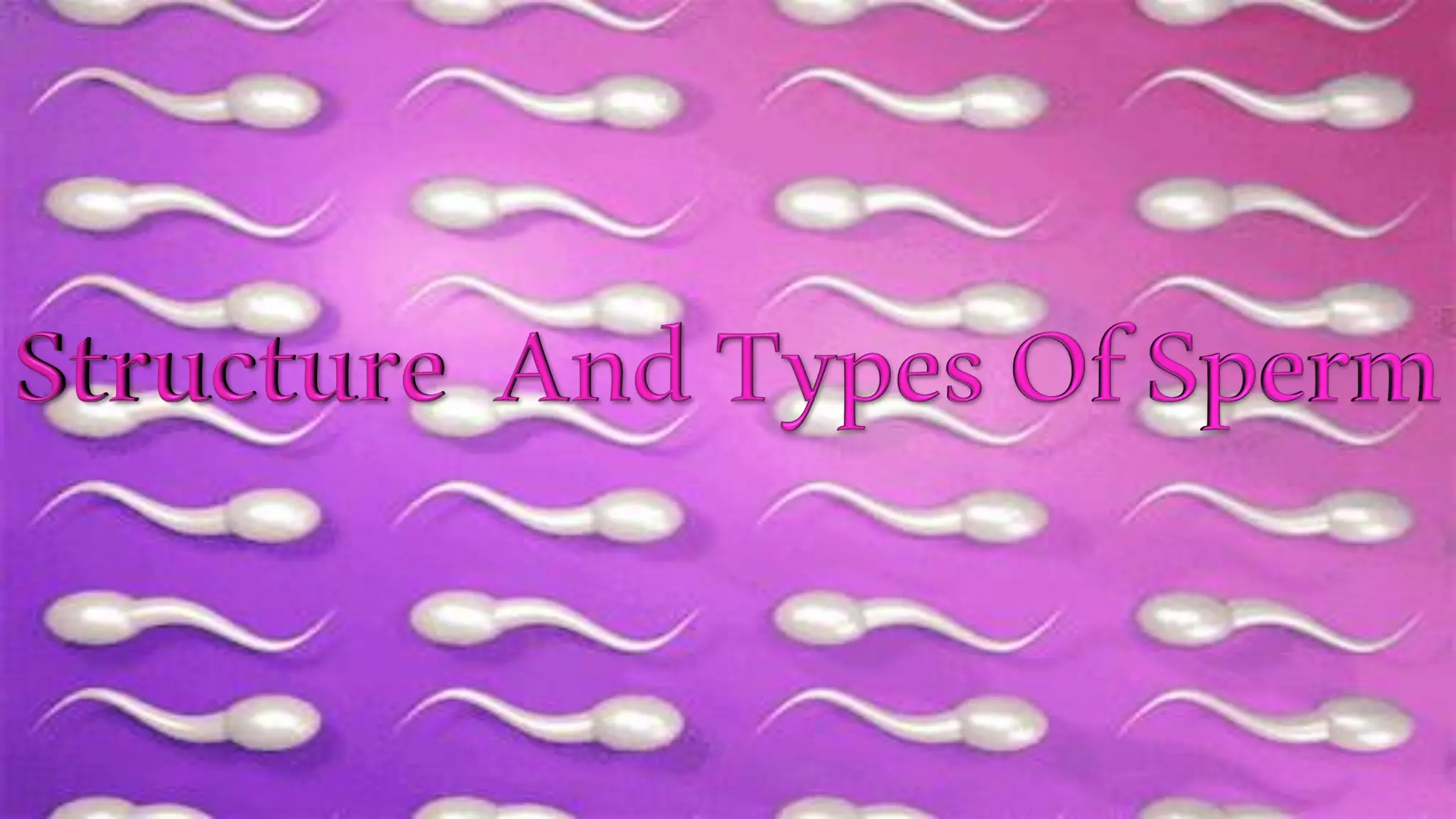 Structure of Sperm / Spermatozoon .pdf