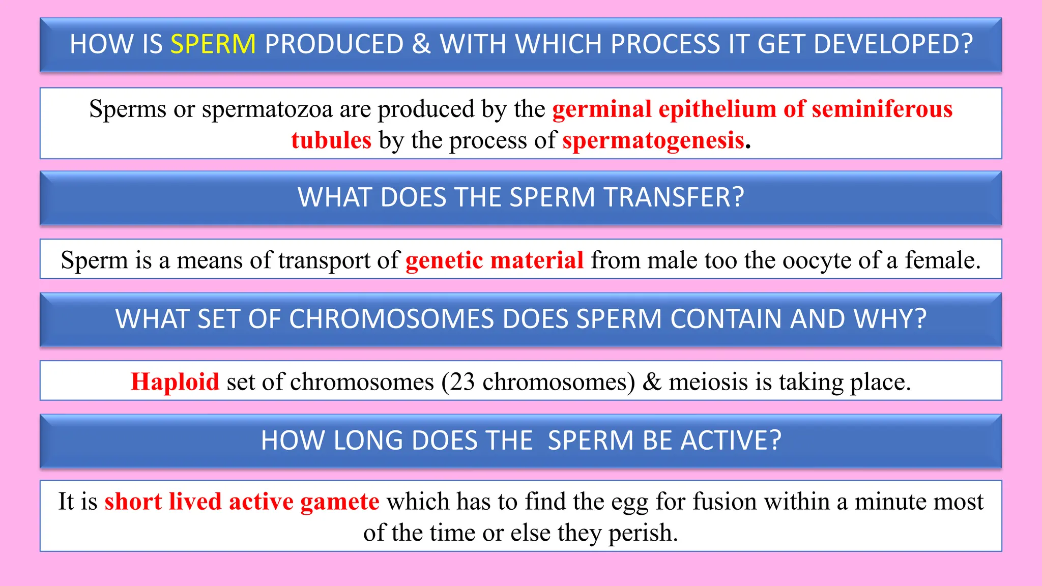 Structure of Sperm / Spermatozoon .pdf