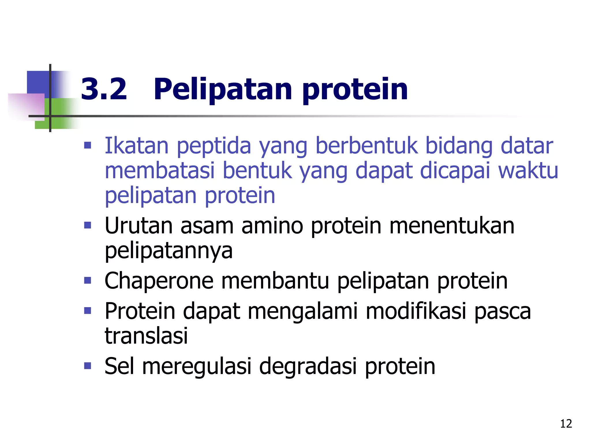 3 struktur fungsi protein.ppt