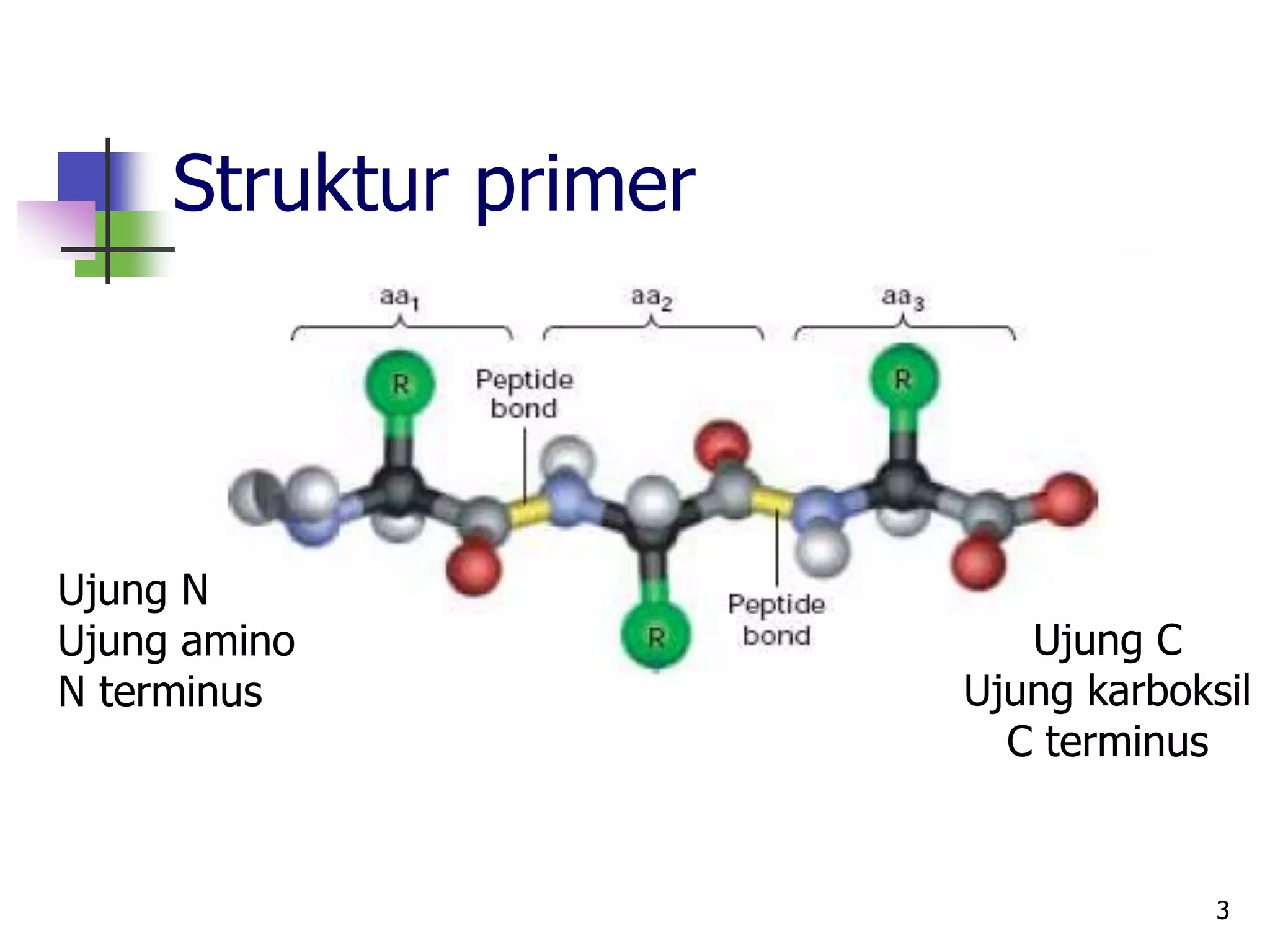 3 struktur fungsi protein.ppt