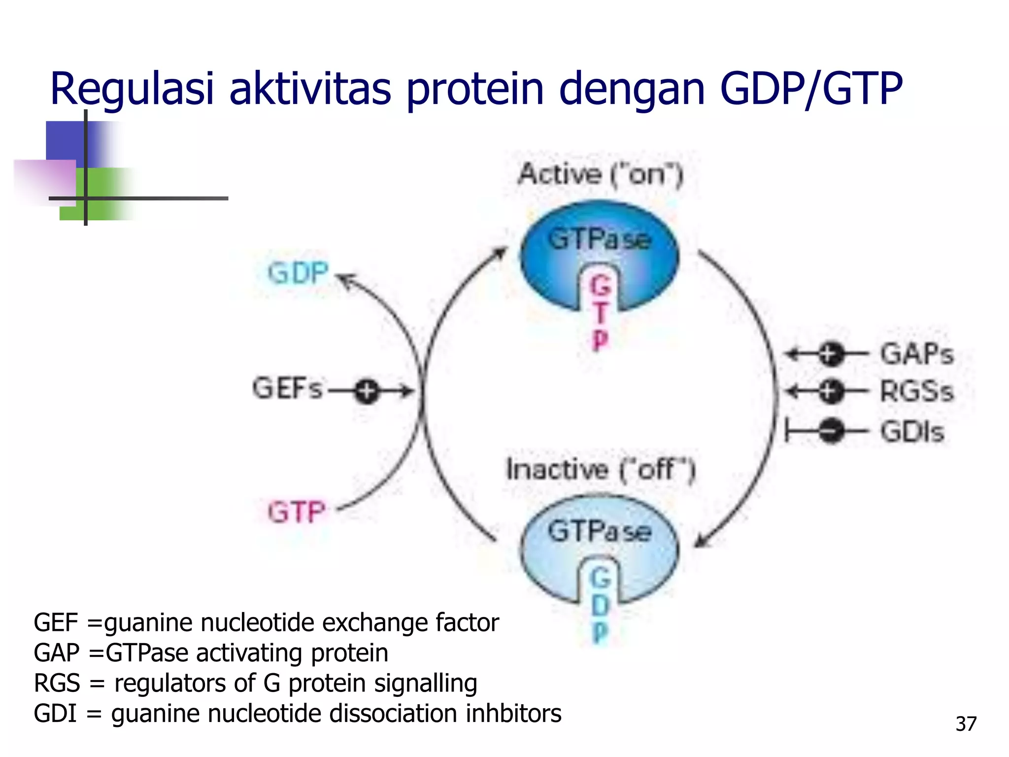 3 struktur fungsi protein.ppt