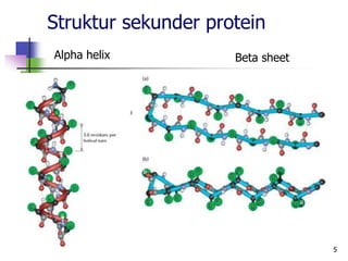 3 struktur fungsi protein.ppt