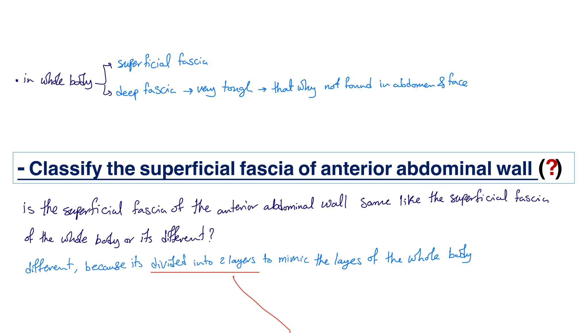 A full description of detailed Surgical _Anatomy_of the abdominal_Wall ...