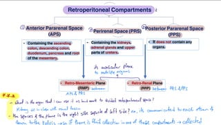 A full description of detailed Surgical _Anatomy_of the abdominal_Wall ...