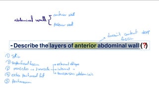 A full description of detailed Surgical _Anatomy_of the abdominal_Wall ...