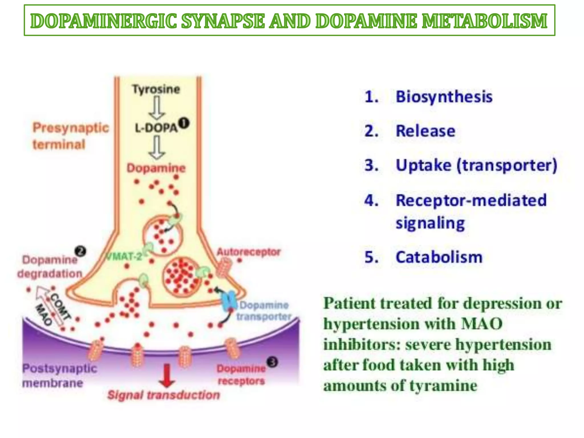UNIT II: DRUGS ACTING ON AUTONOMIC NERVOUS SYSTEM | PPTX