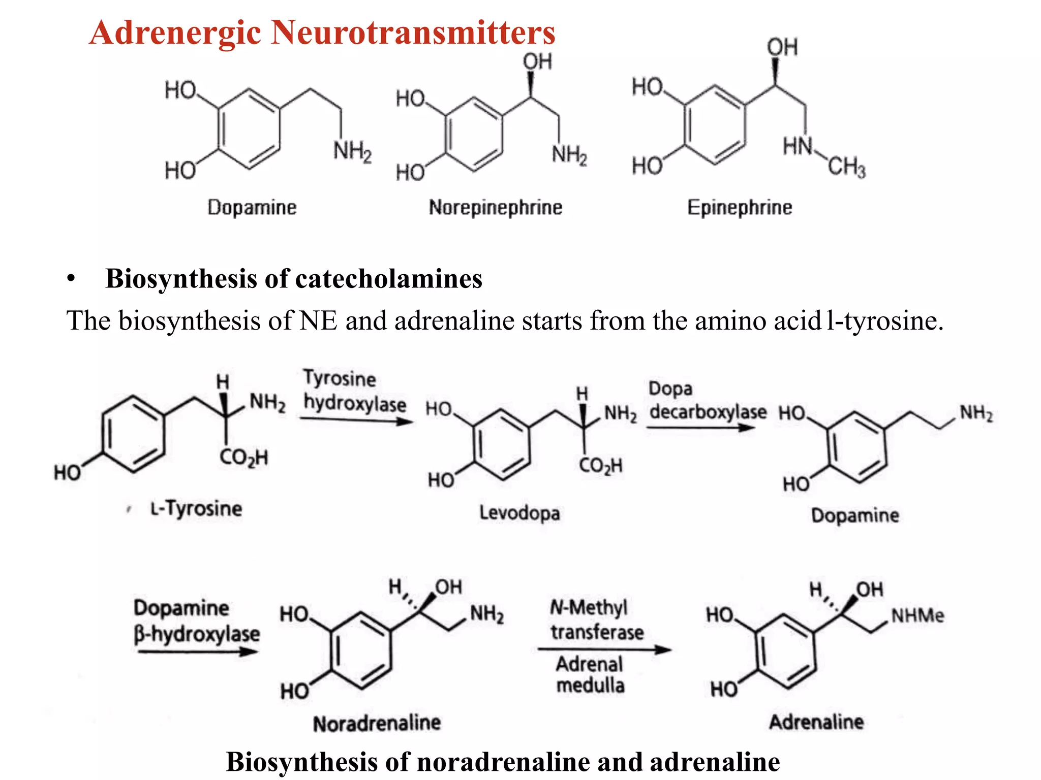 UNIT II: DRUGS ACTING ON AUTONOMIC NERVOUS SYSTEM | PPTX