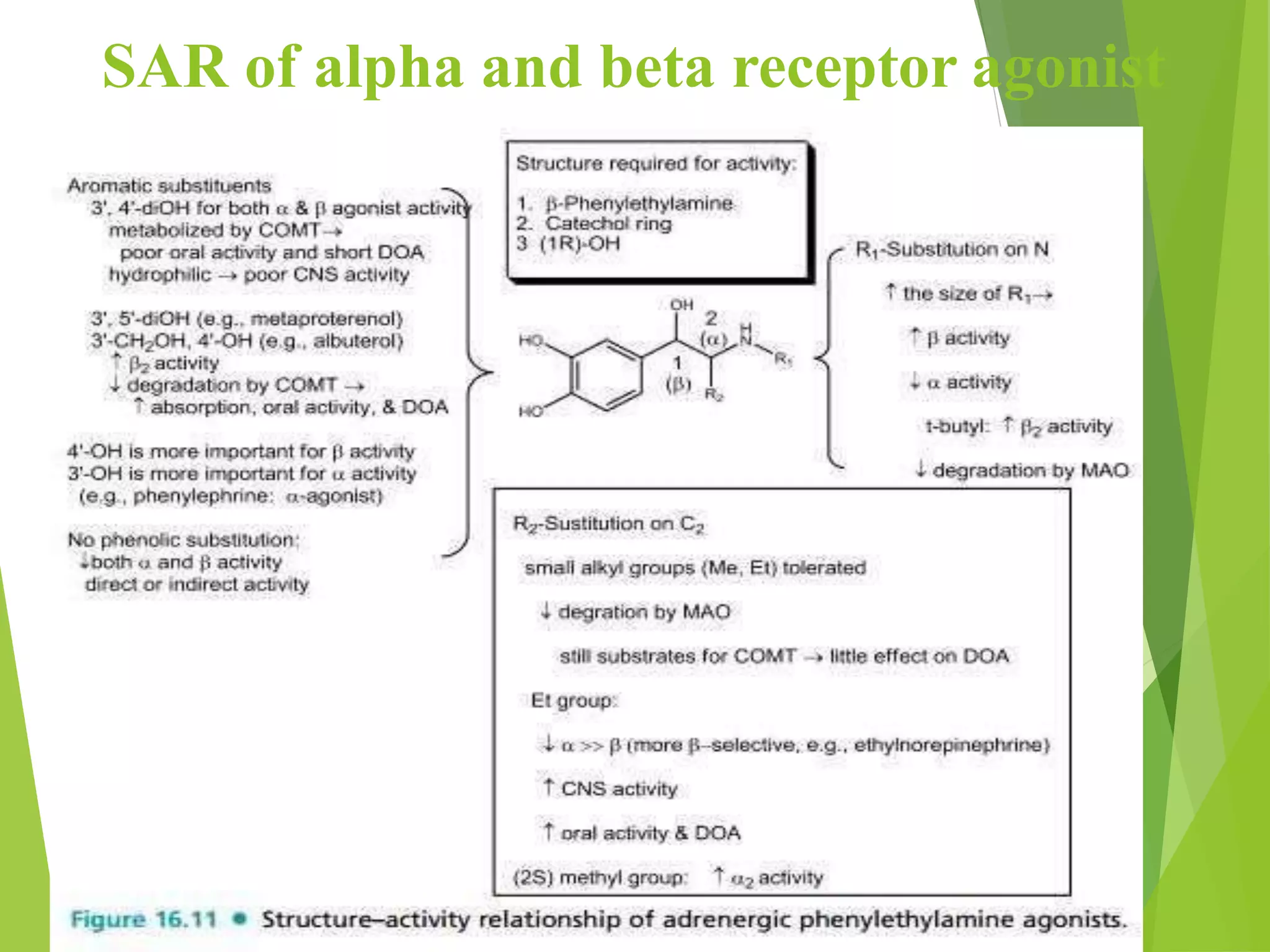 UNIT II: DRUGS ACTING ON AUTONOMIC NERVOUS SYSTEM | PPTX