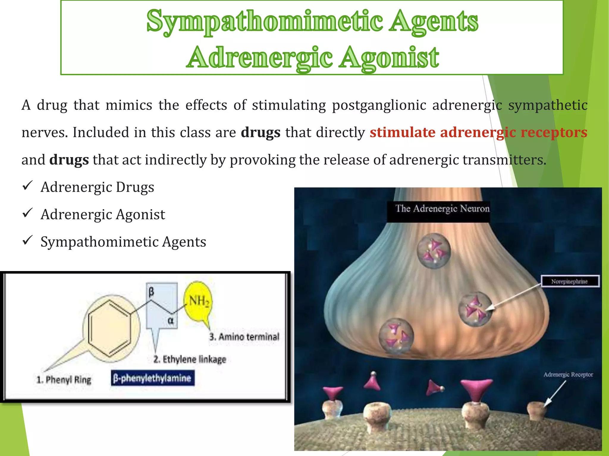UNIT II: DRUGS ACTING ON AUTONOMIC NERVOUS SYSTEM | PPTX