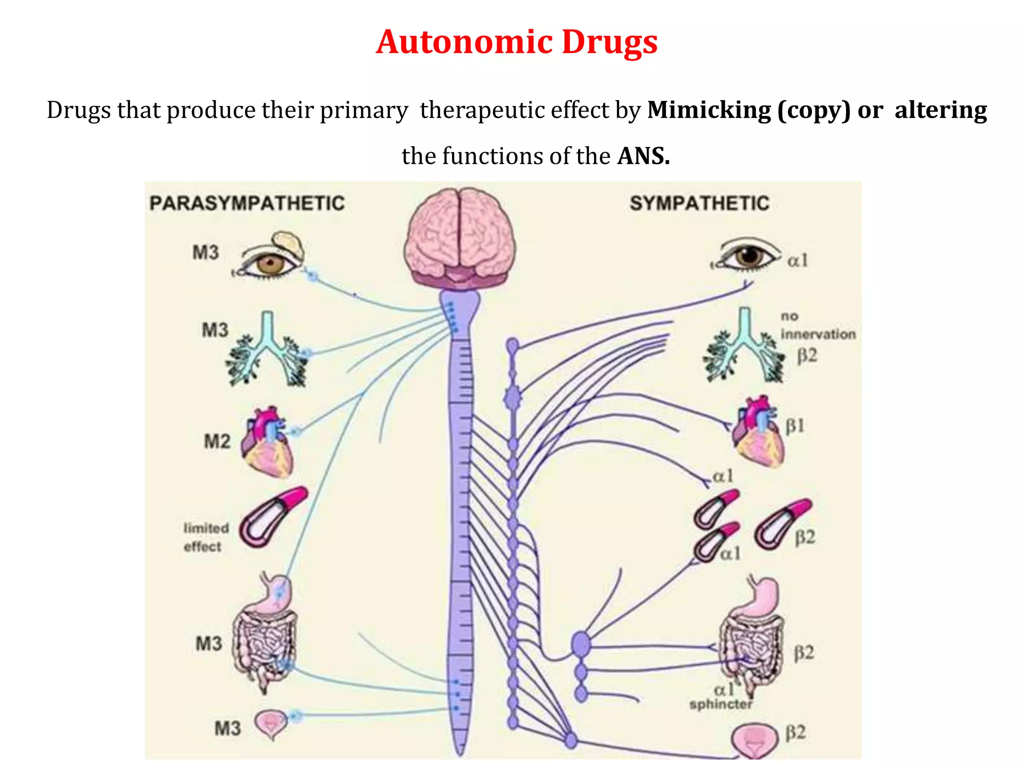 UNIT II: DRUGS ACTING ON AUTONOMIC NERVOUS SYSTEM | PPTX