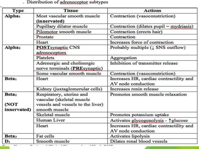 UNIT II: DRUGS ACTING ON AUTONOMIC NERVOUS SYSTEM | PPTX