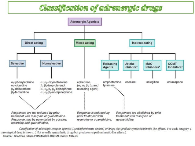 UNIT II: DRUGS ACTING ON AUTONOMIC NERVOUS SYSTEM | PPTX