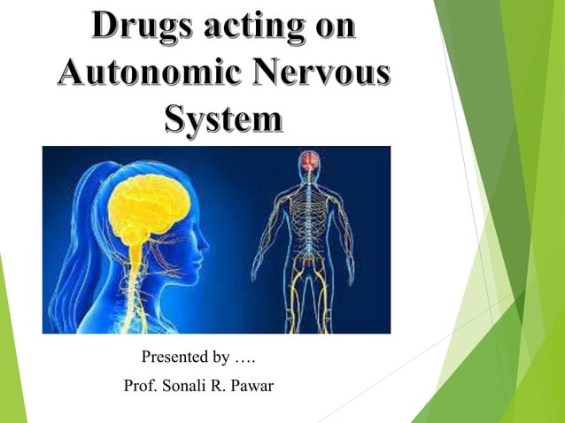 Anatomy Of The Autonomic Nervous System Drugs Therapeutics
