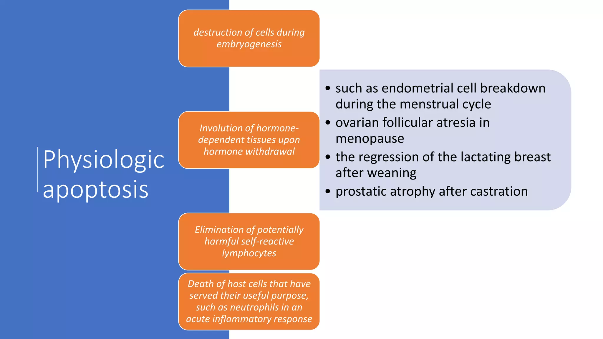Ch 2 adaptations, cell injury, cell death | PPTX