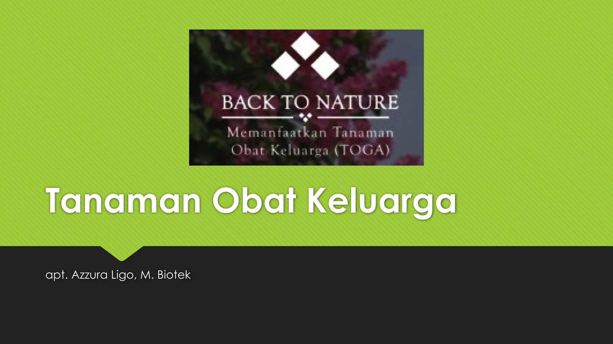 Obat Herbal Tanaman Obat Keluarga (TRaditional Medicine) | PPTX