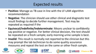 3 TB LAM roll out.pptx