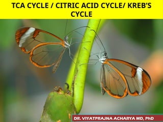 3 TCA cycle- complete oxidation of glucose | PPTX