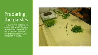 Chemistry_pigments green parsley 4t ESO | PPTX