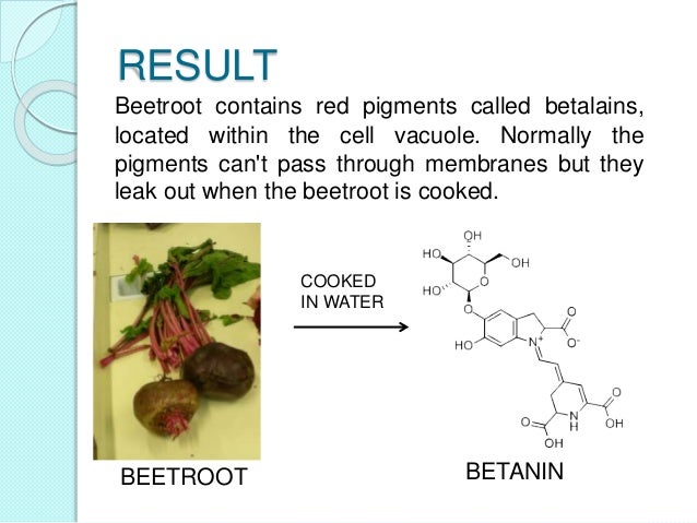 Chemistry_pigments red beetroot 4t ESO