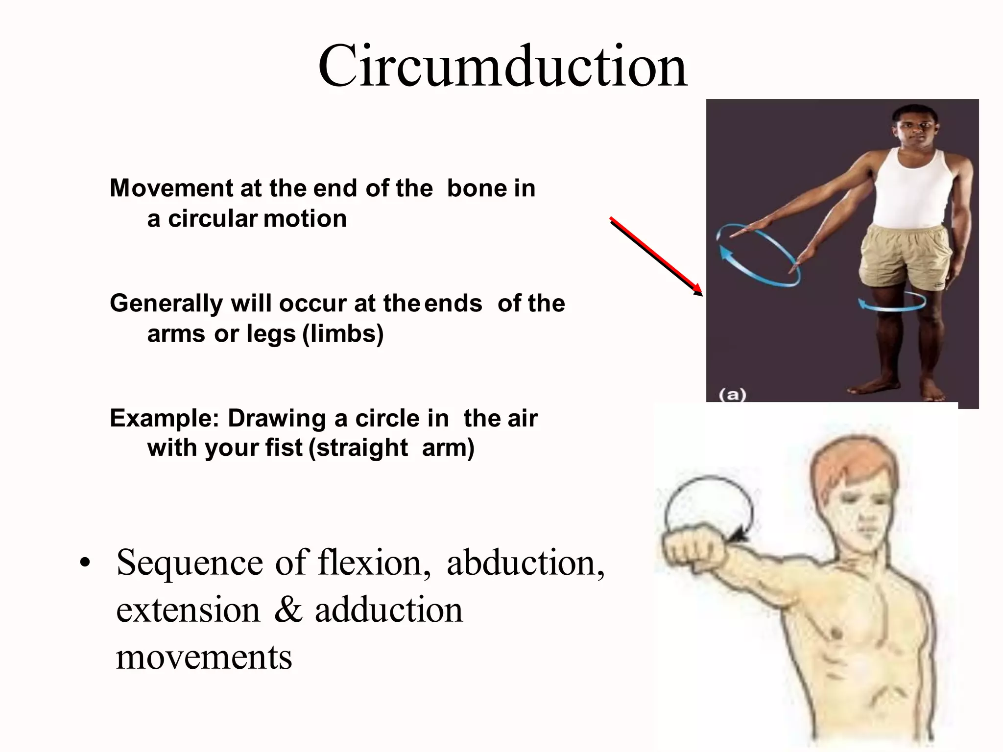 Terminology of movement in anatomy, flexion extension hyperextension ...