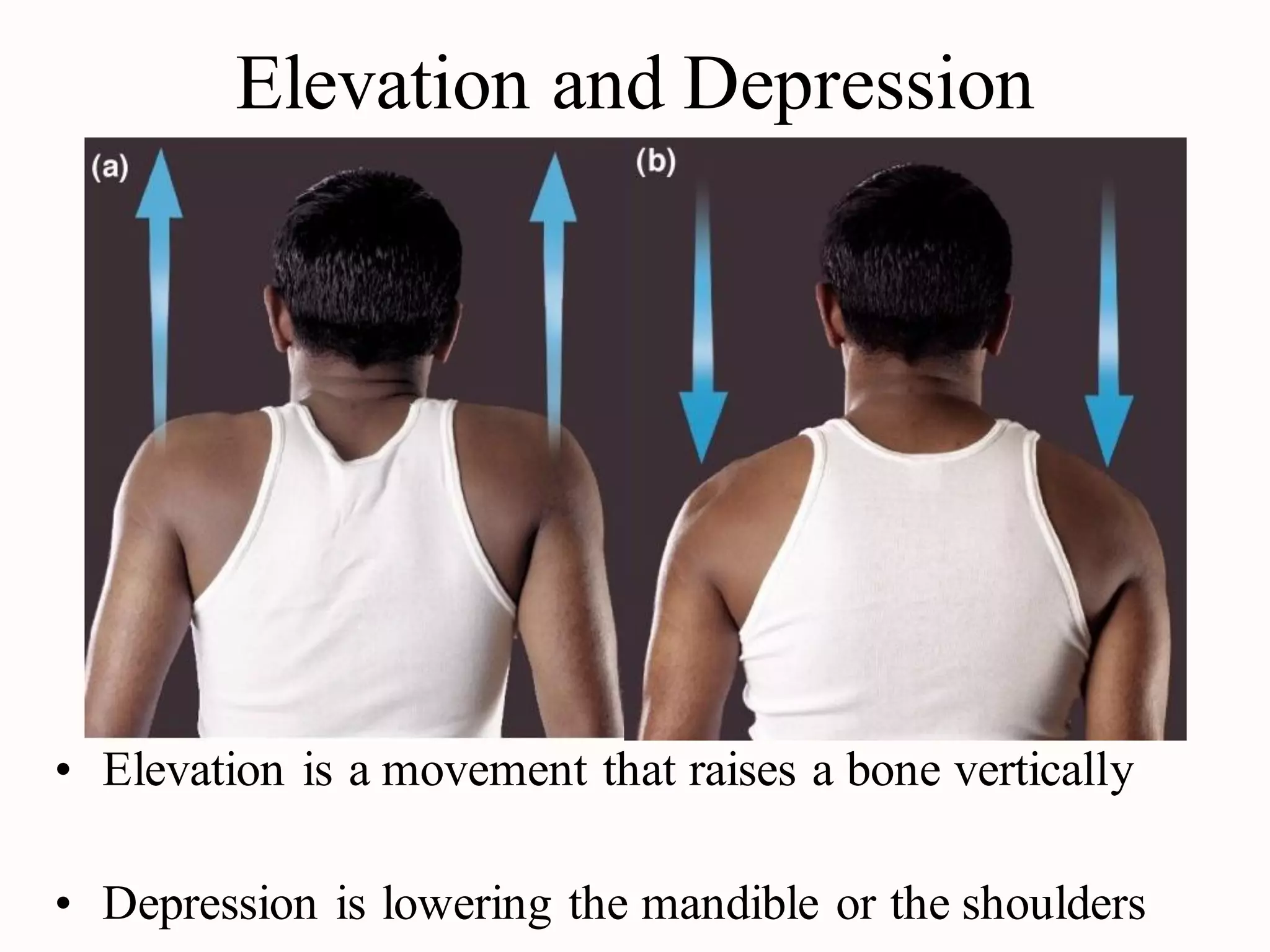 Terminology of movement in anatomy, flexion extension hyperextension ...