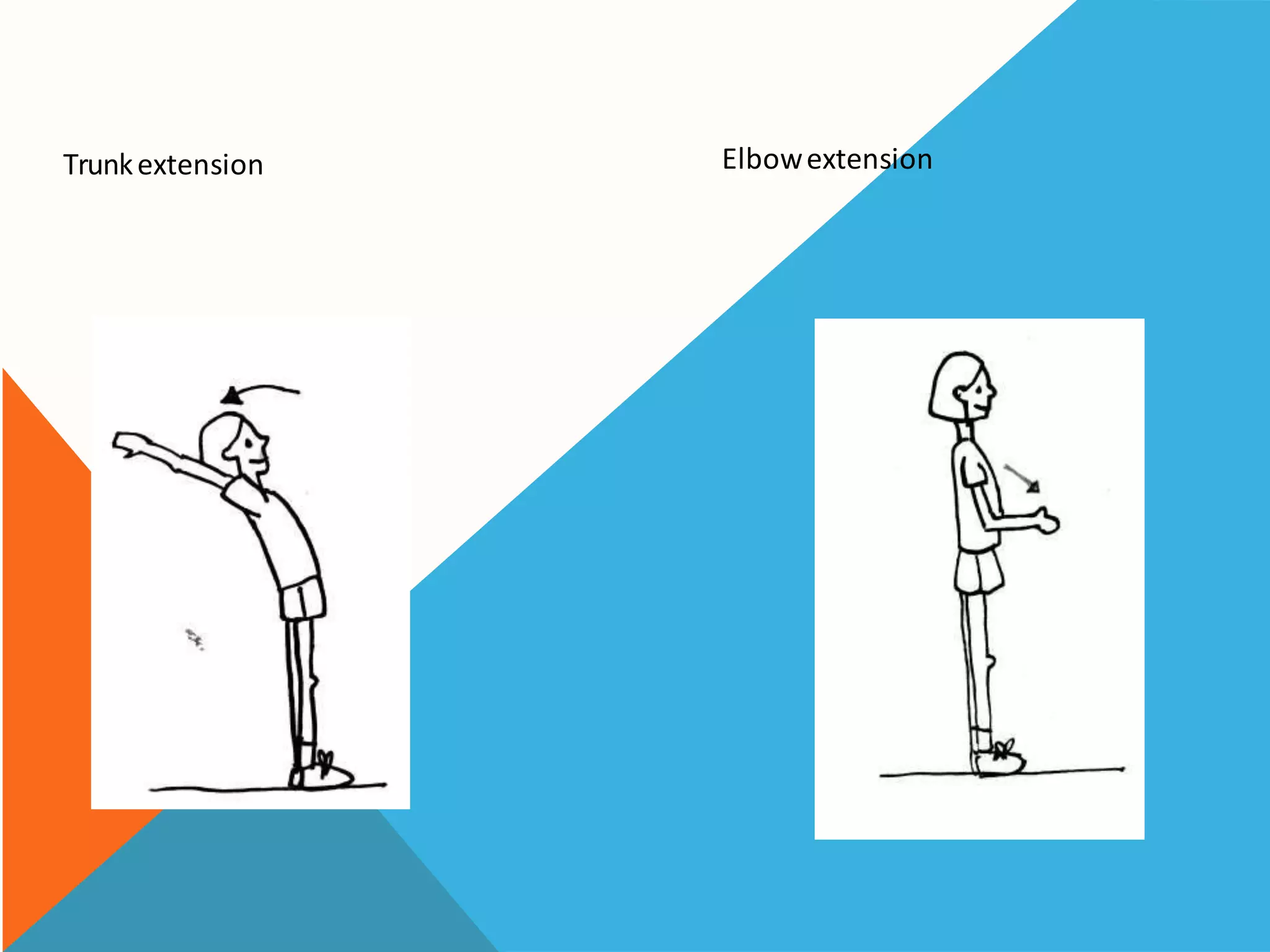 Terminology of movement in anatomy, flexion extension hyperextension ...
