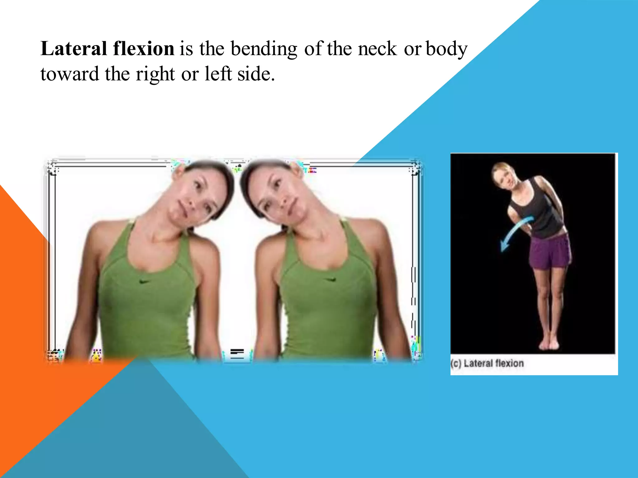 Terminology of movement in anatomy, flexion extension hyperextension ...